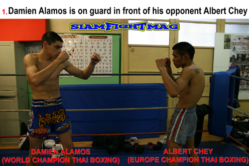 TECHNIQUE WITH DAMIEN ALAMOS - SIAM FIGHT MAG