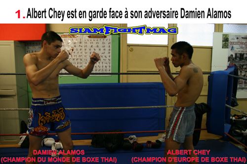 TECHNIQUE ALBERT CHEY - SIAM FIGHT MAG