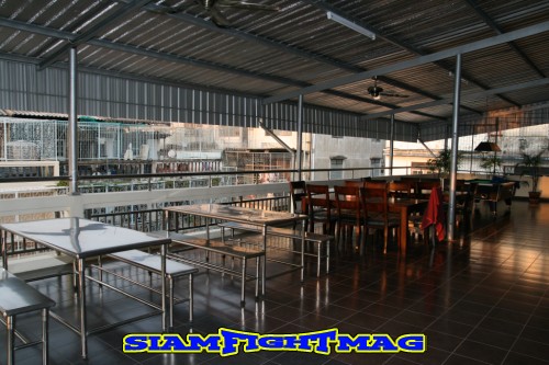 THE TOP RATED BOXING GYM - SIAM FIGHT MAG