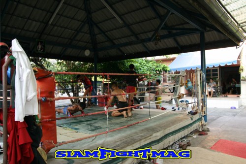 THE KESA GYM - SIAM FIGHT MAG