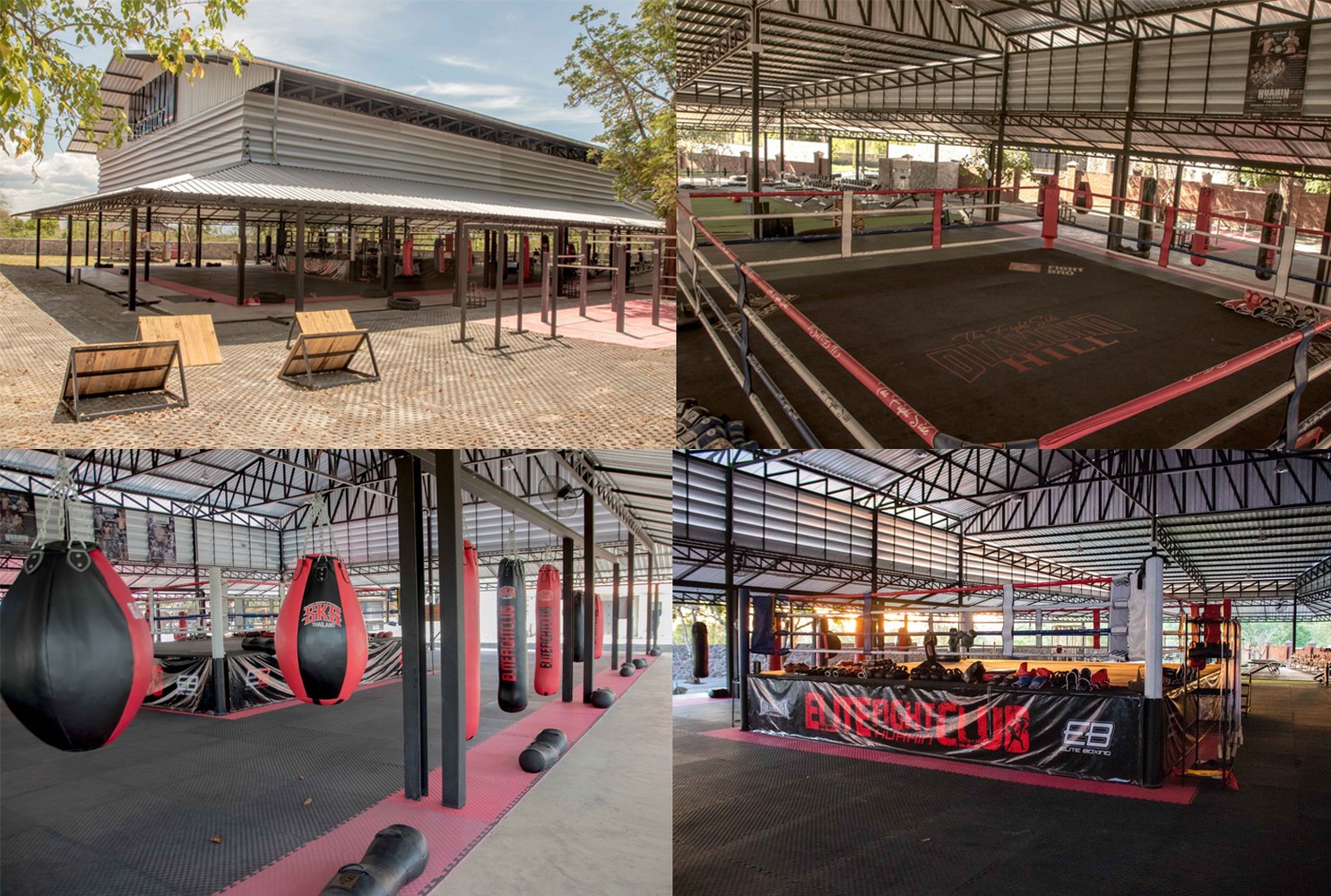 INTERVIEW WITH CEDRIC GAUTIER, MUAY THAI TRAINER AND OWNER OF ELITE ...