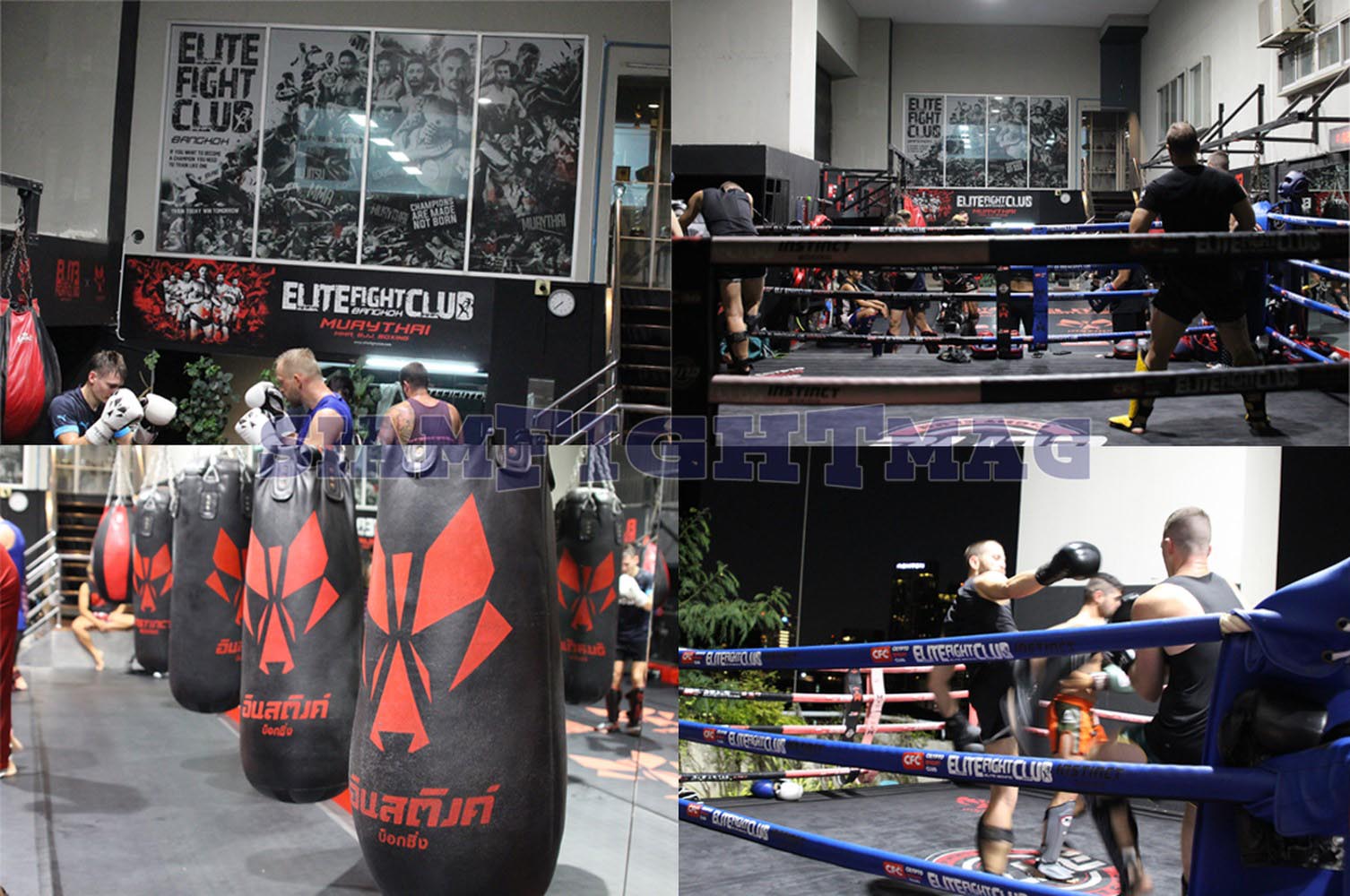 LE CAMP DE BOXE « ELITE FIGHT CLUB » DE HUA HIN - SIAM FIGHT MAG