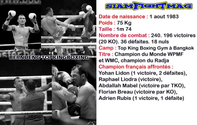30 CHAMPIONS THAÏLANDAIS DES ANNÉES 2000 ET 2010 QUI ONT COMBATTU EN ...